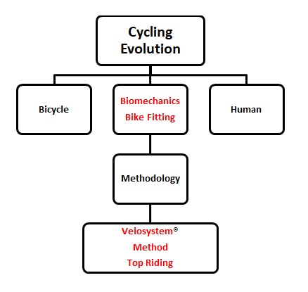 Your Top Riding: cycling evolution - Ciclista